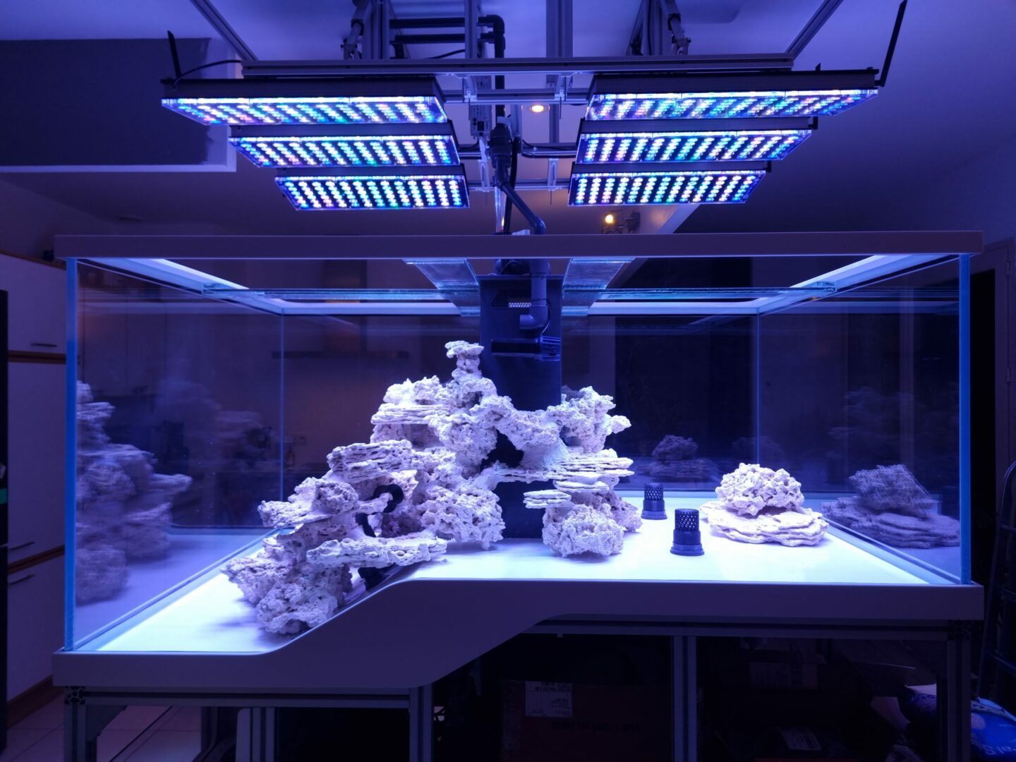 Home – Turtle System