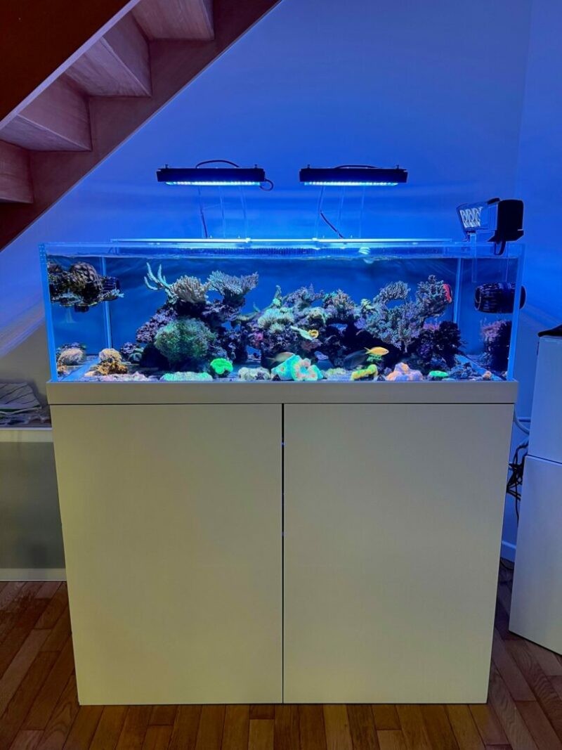 Home – Turtle System