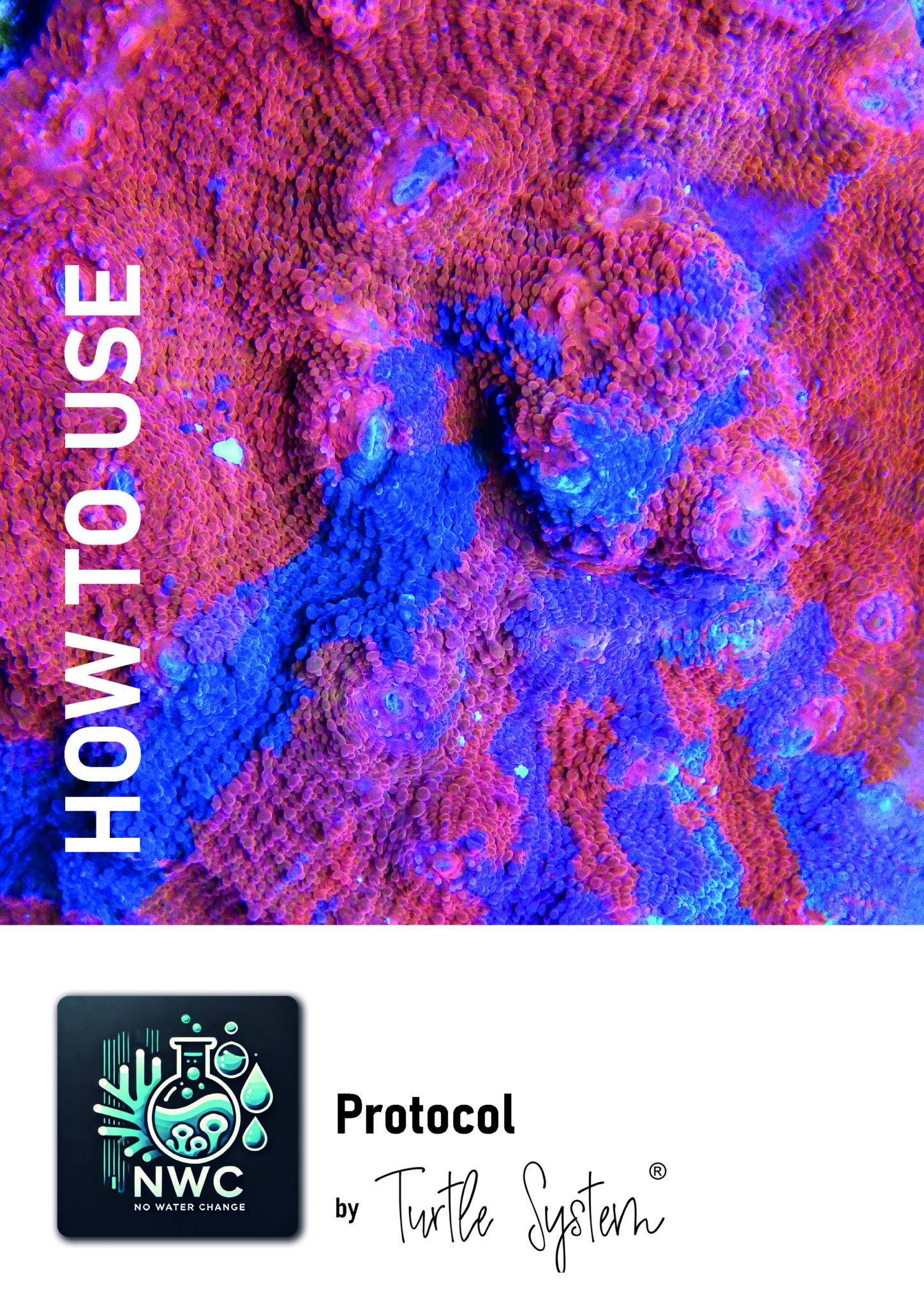 NWC Protocol – Turtle System